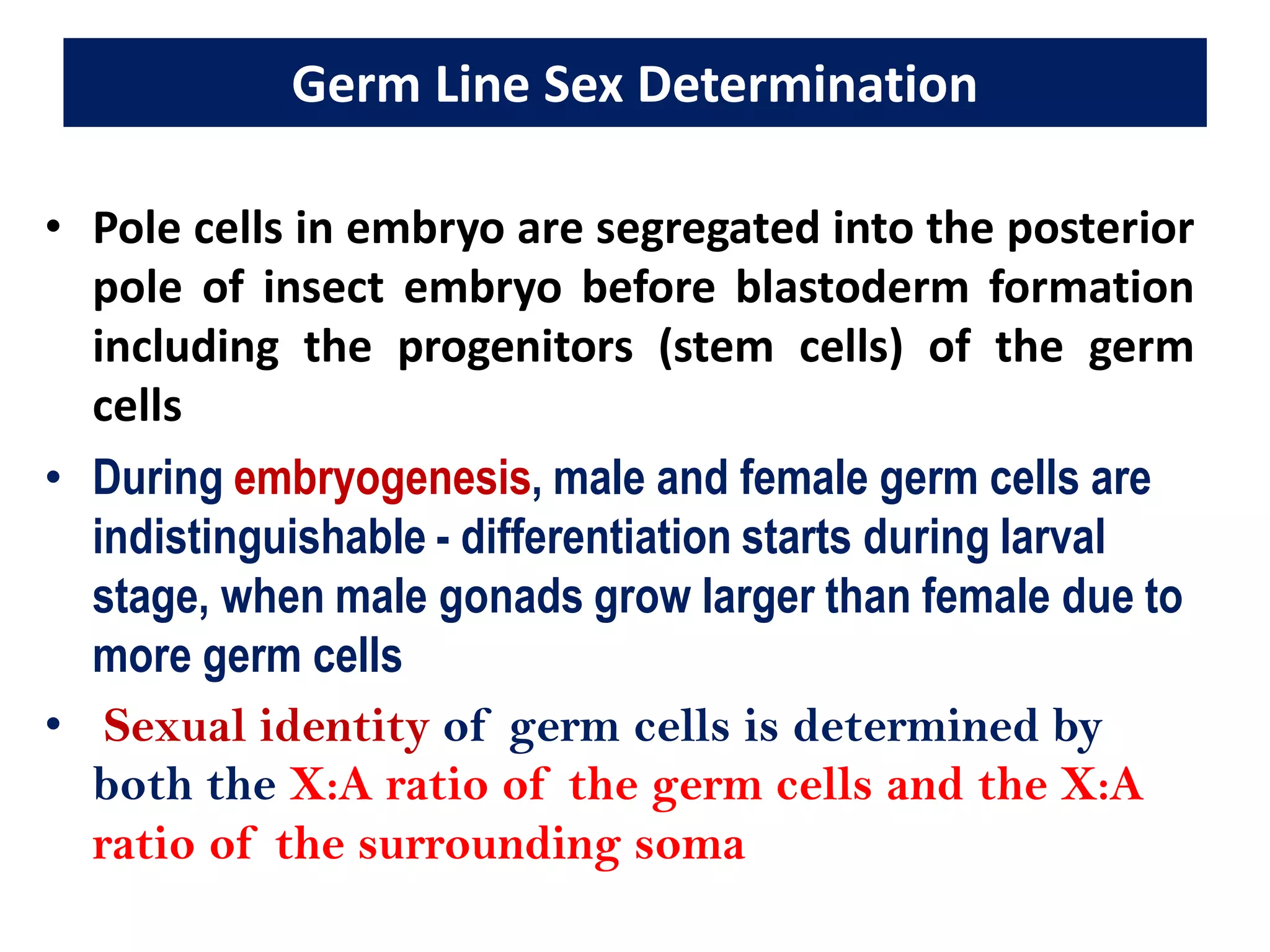 Sex Determination In Insects Pdf Infertility Reproductive Health