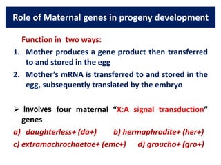 Sex determination in insects | PDF | Infertility | Reproductive Health