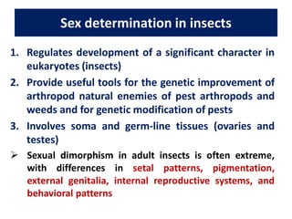 Sex determination in insects | PDF | Infertility | Reproductive Health