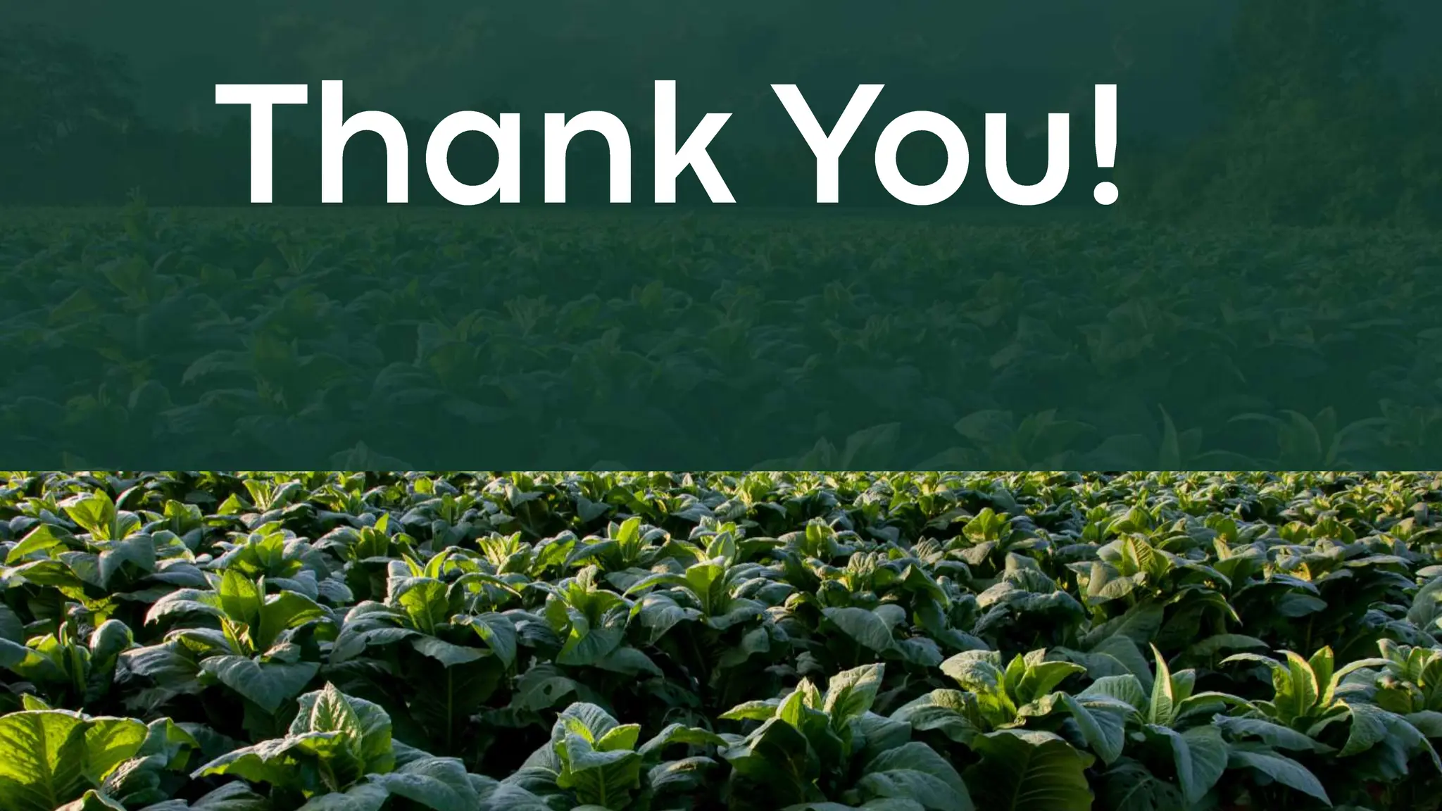 Organisation of production and their importance.pptx