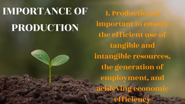 Organisation of production and their importance.pptx