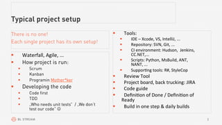 Developer Job in Practice | PPT
