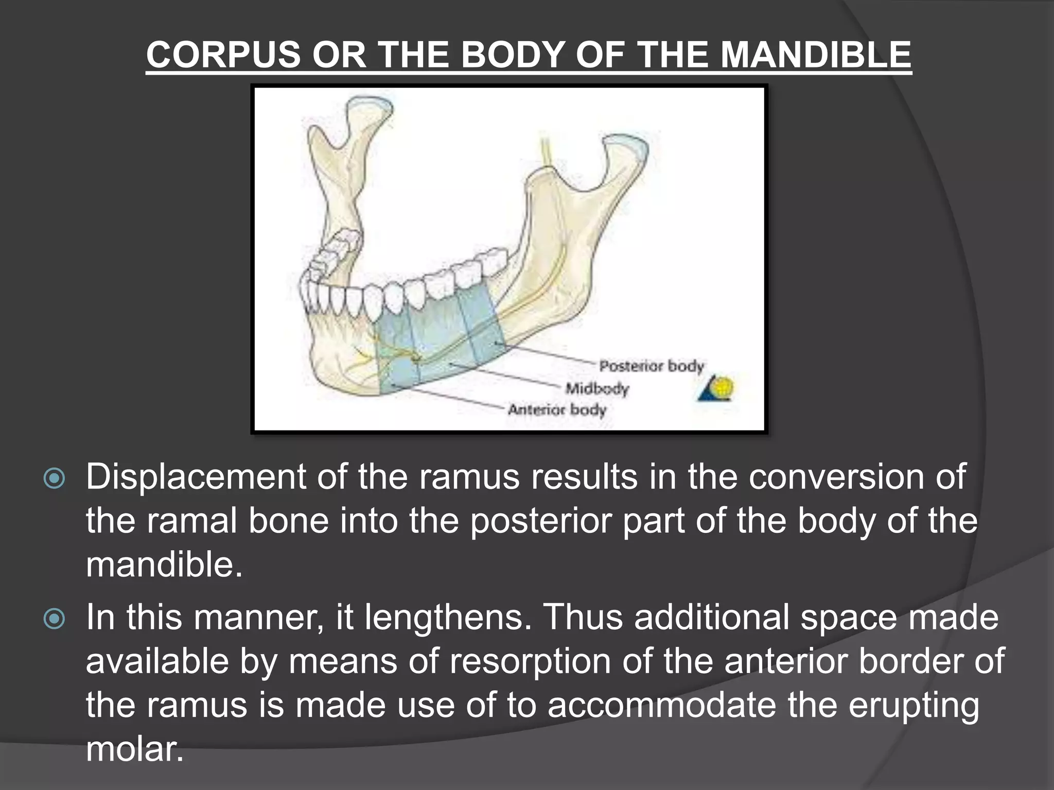 Growth and development of mandible in children | PPTX