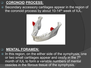 Growth and development of mandible in children | PPTX | Dental Health ...