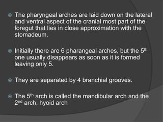 Growth and development of mandible in children | PPTX | Dental Health ...