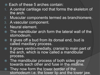Growth and development of mandible in children | PPTX | Dental Health ...