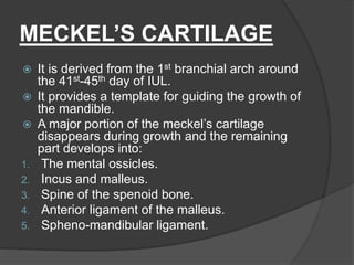 Growth and development of mandible in children | PPTX | Dental Health ...