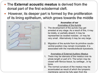 Devlopment of face and its abnormalites | PPTX