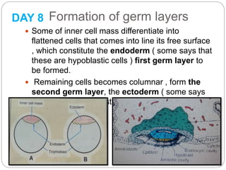 Devlopment of face and its abnormalites | PPTX