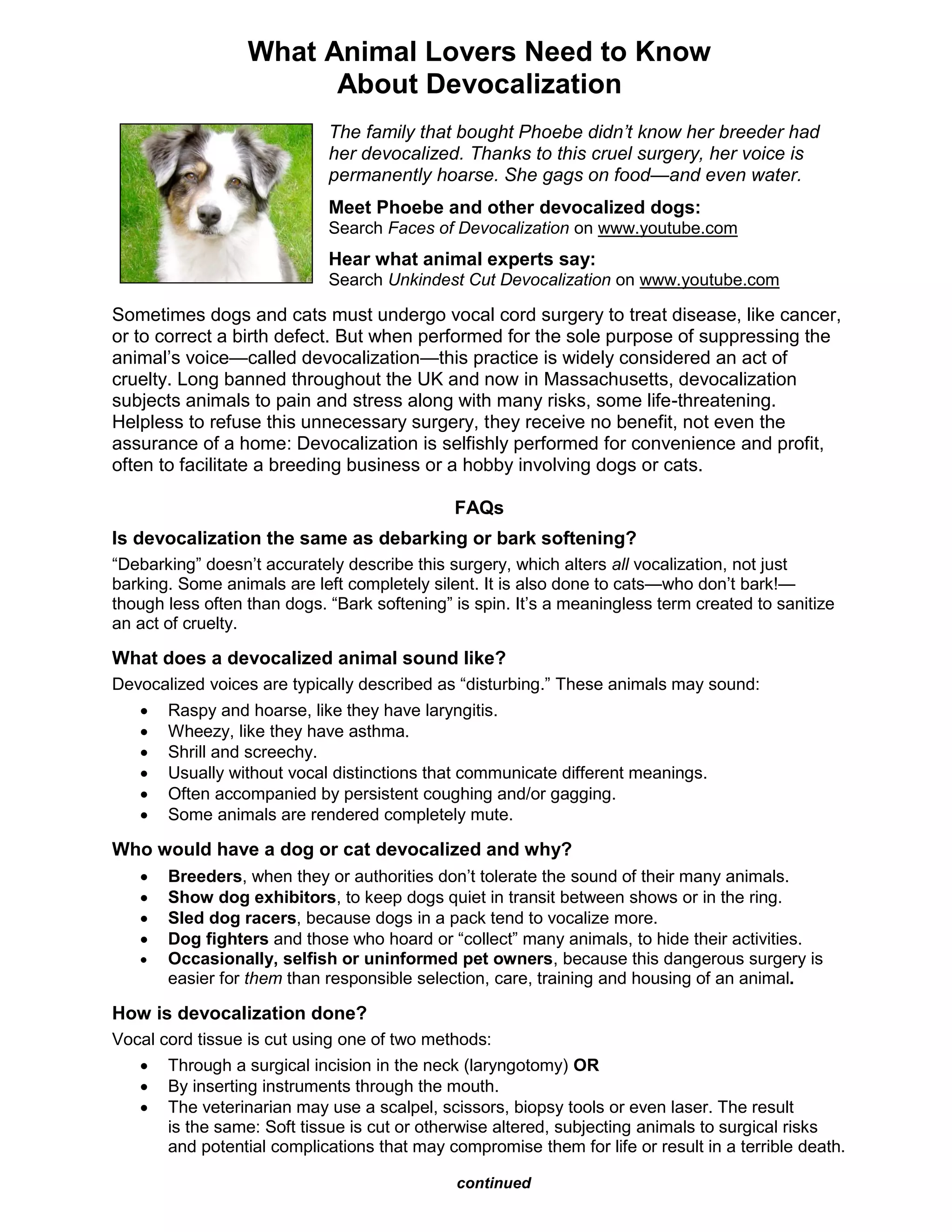 Devocalization | PDF