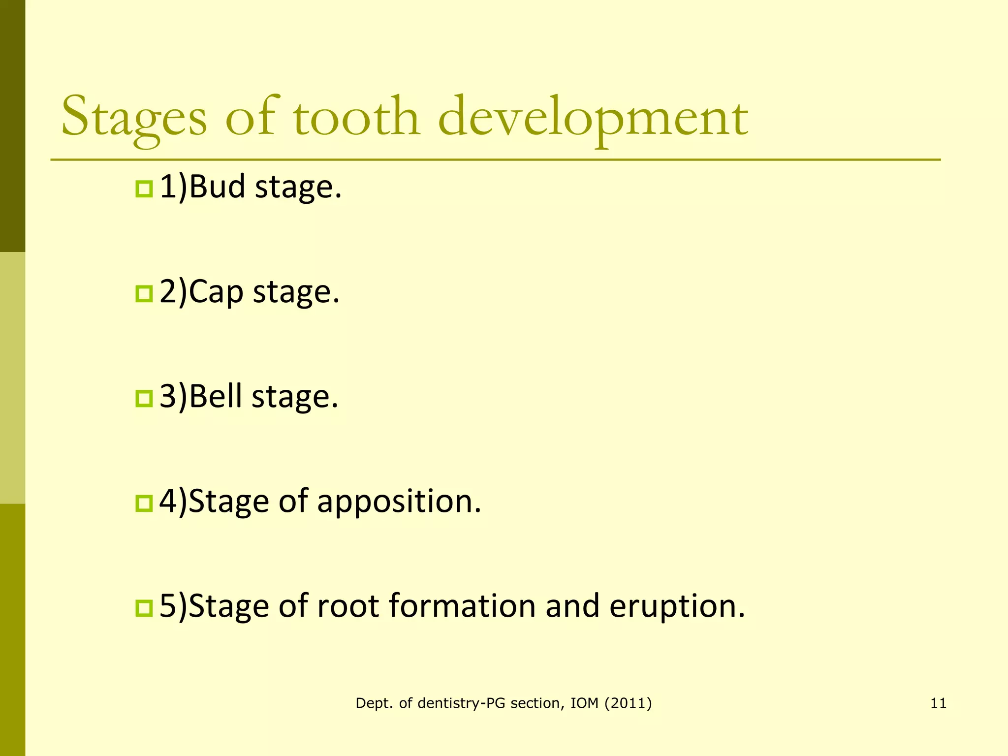 Development of dentition | PPTX