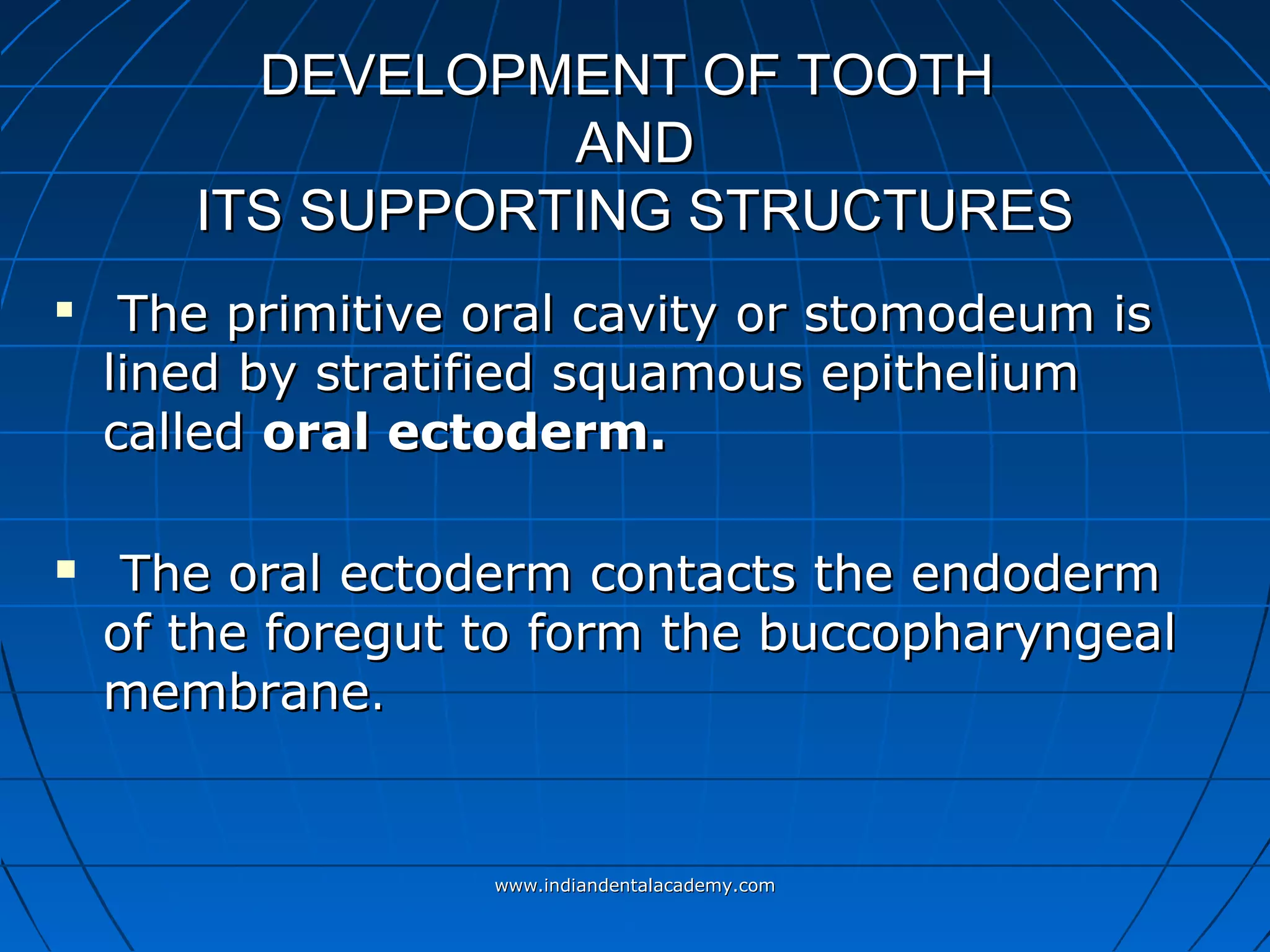 Development of dentition | PPT