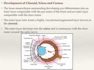 Development of eye | PDF