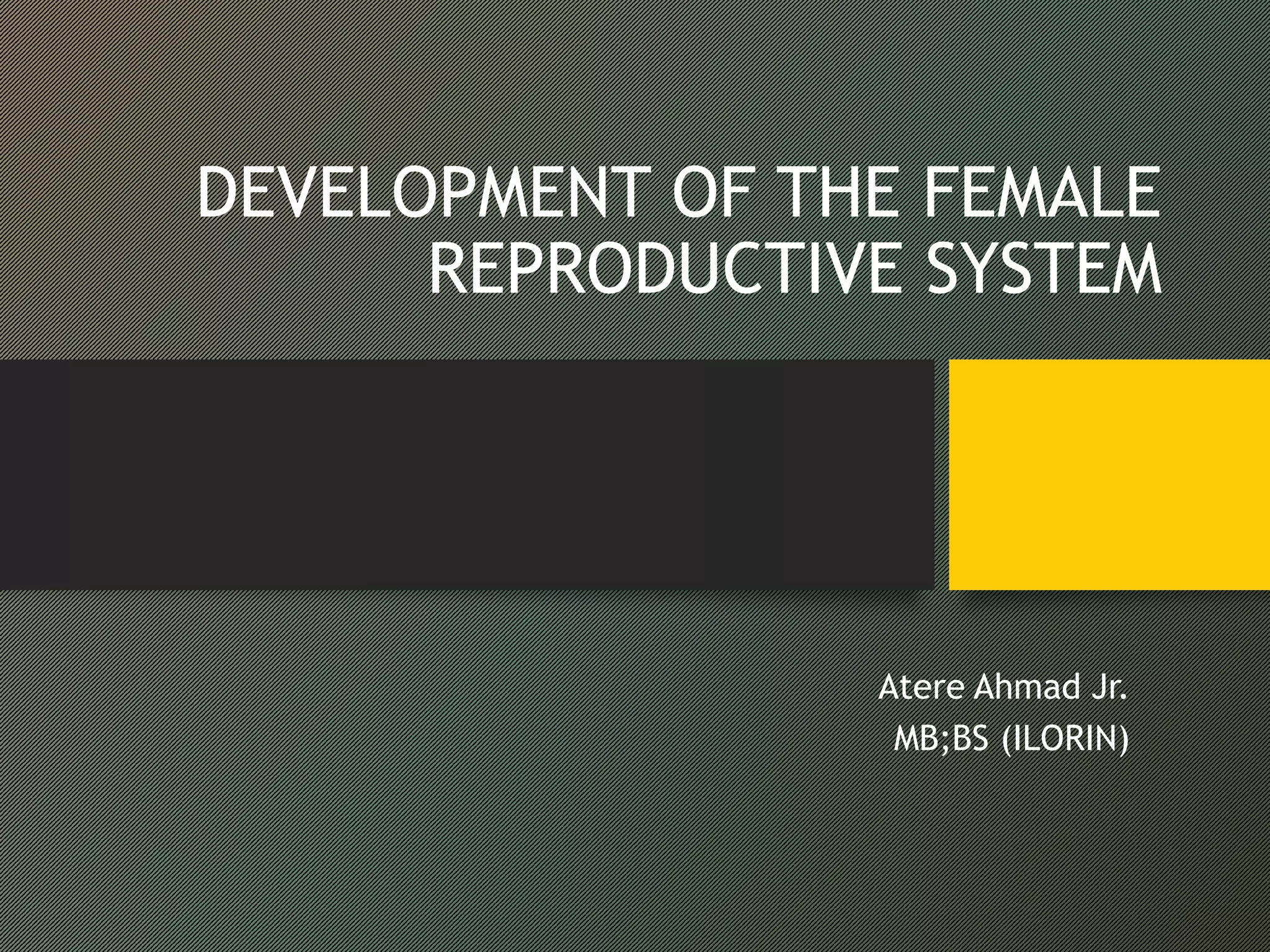 Development of the female reproductive system | PPTX