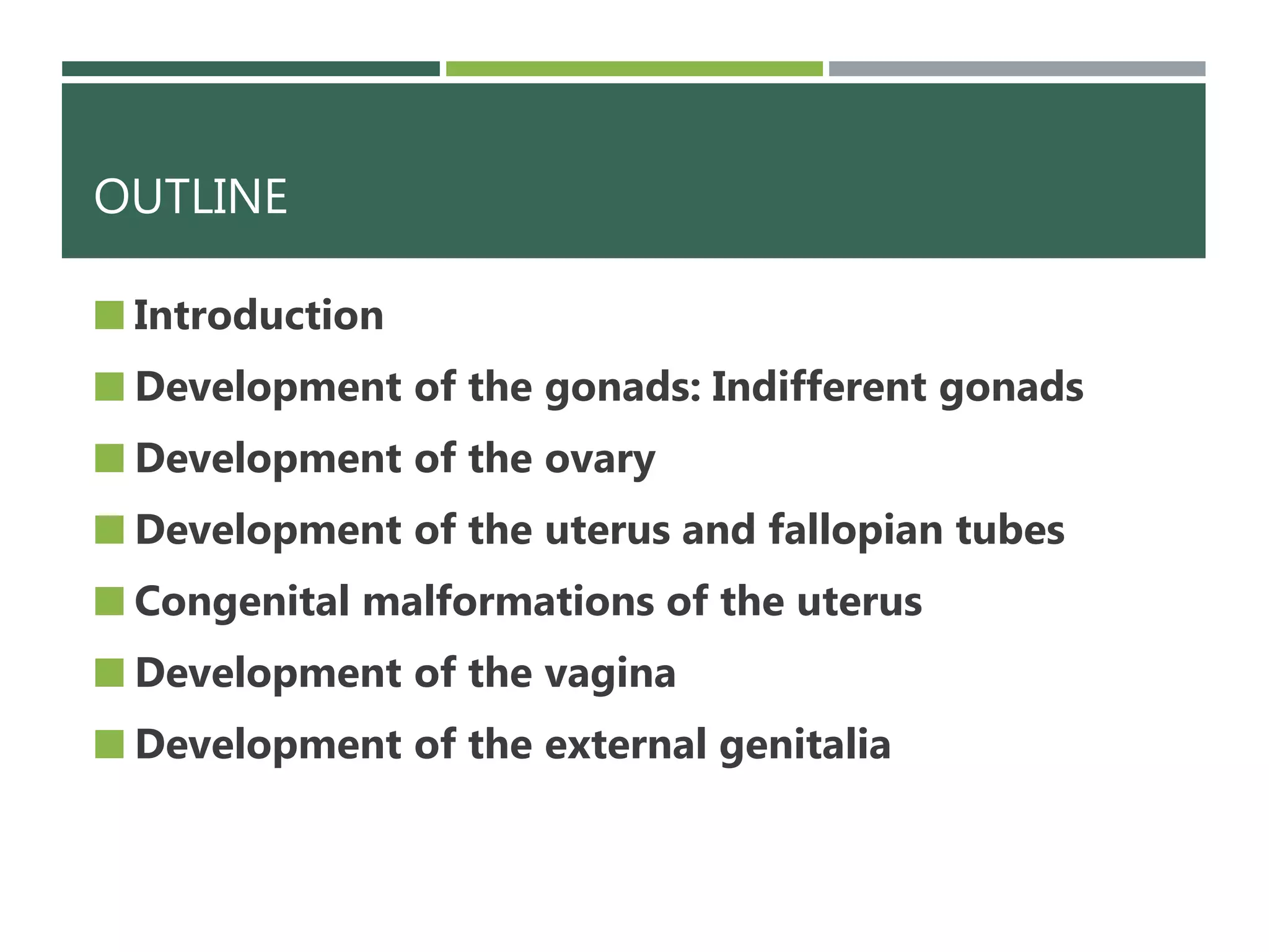 Development of the female reproductive system | PPTX