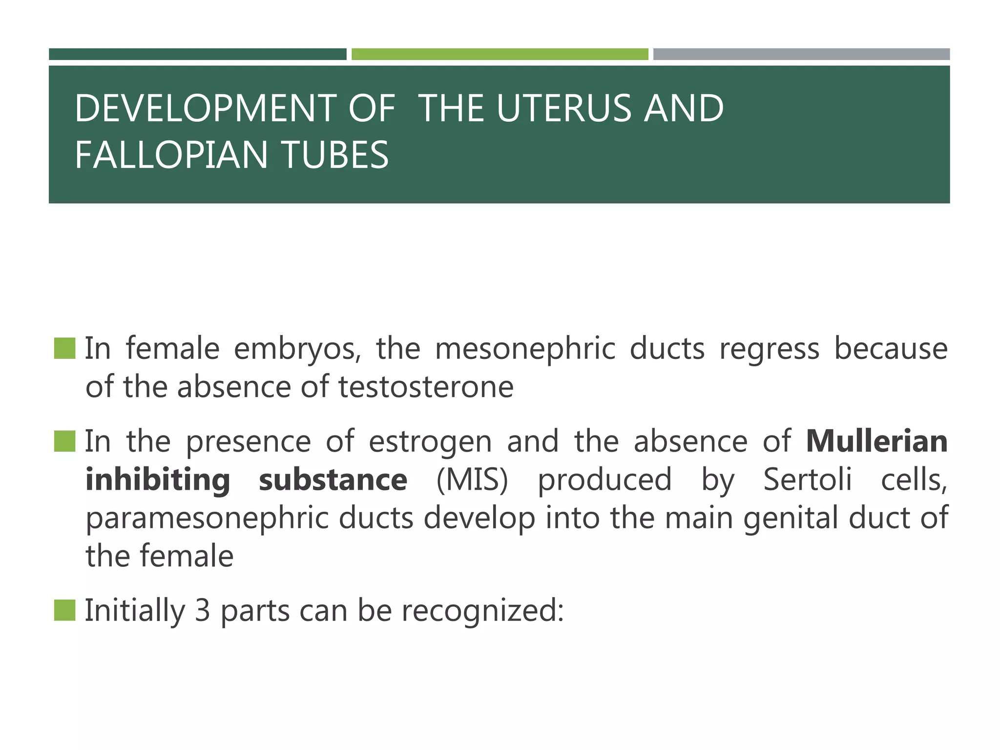 Development of the female reproductive system | PPTX