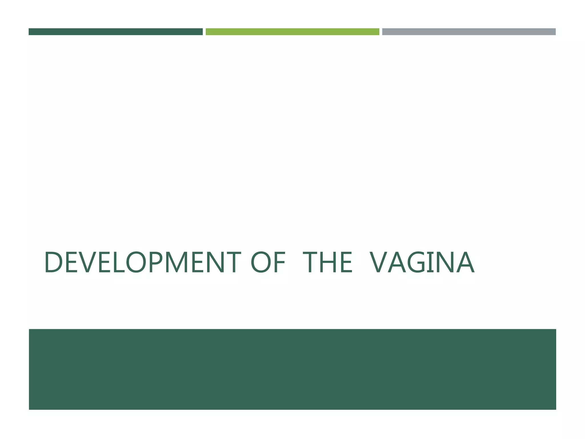Development of the female reproductive system | PPTX