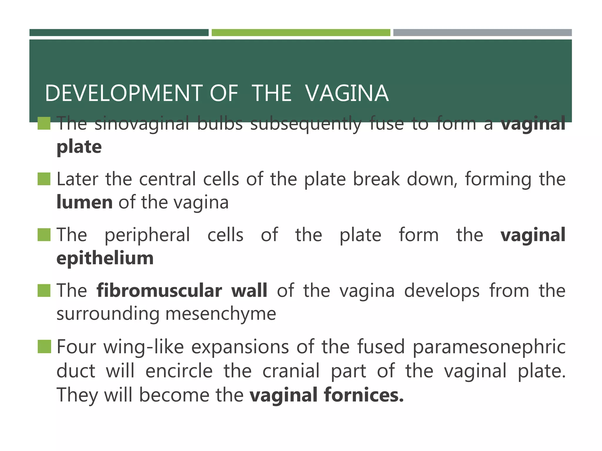Development of the female reproductive system | PPTX