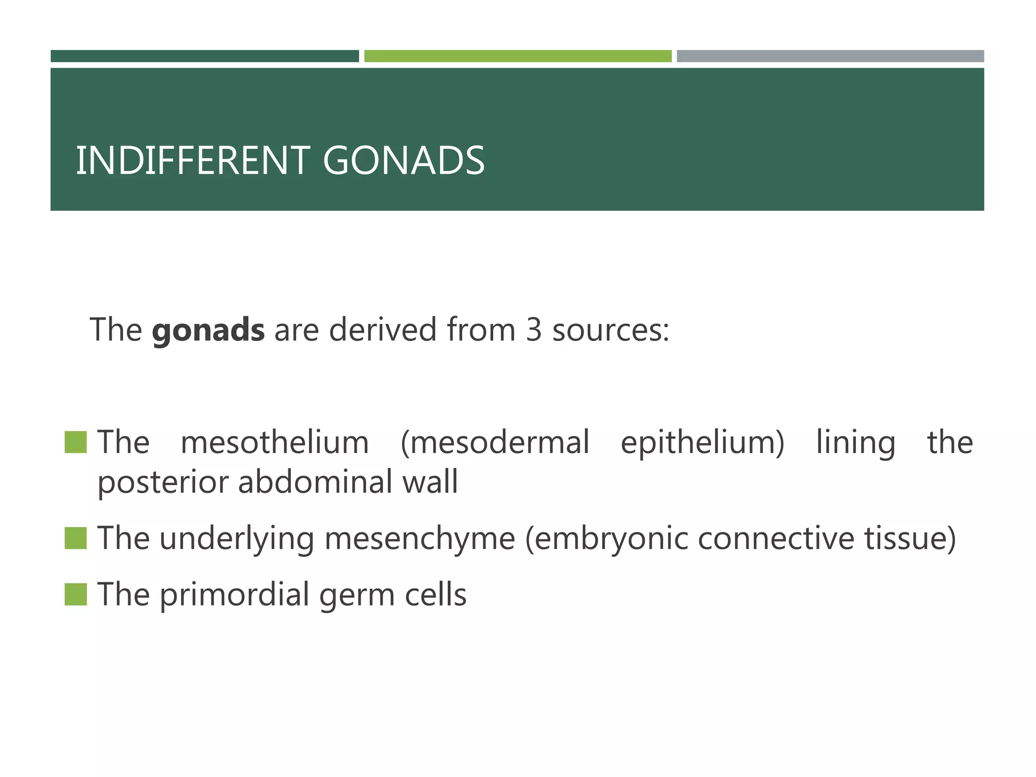 Development of the female reproductive system | PPTX