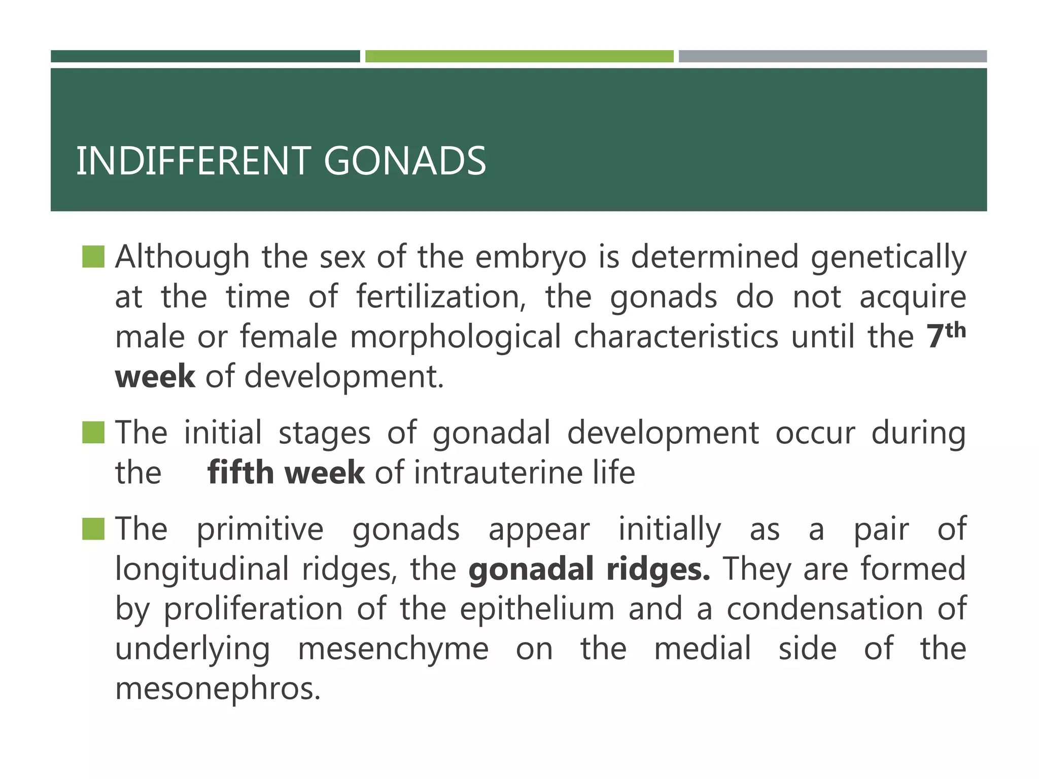 Development of the female reproductive system | PPTX