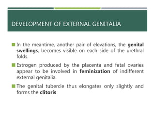 Development of the female reproductive system | PPTX