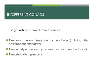 Development of the female reproductive system | PPTX