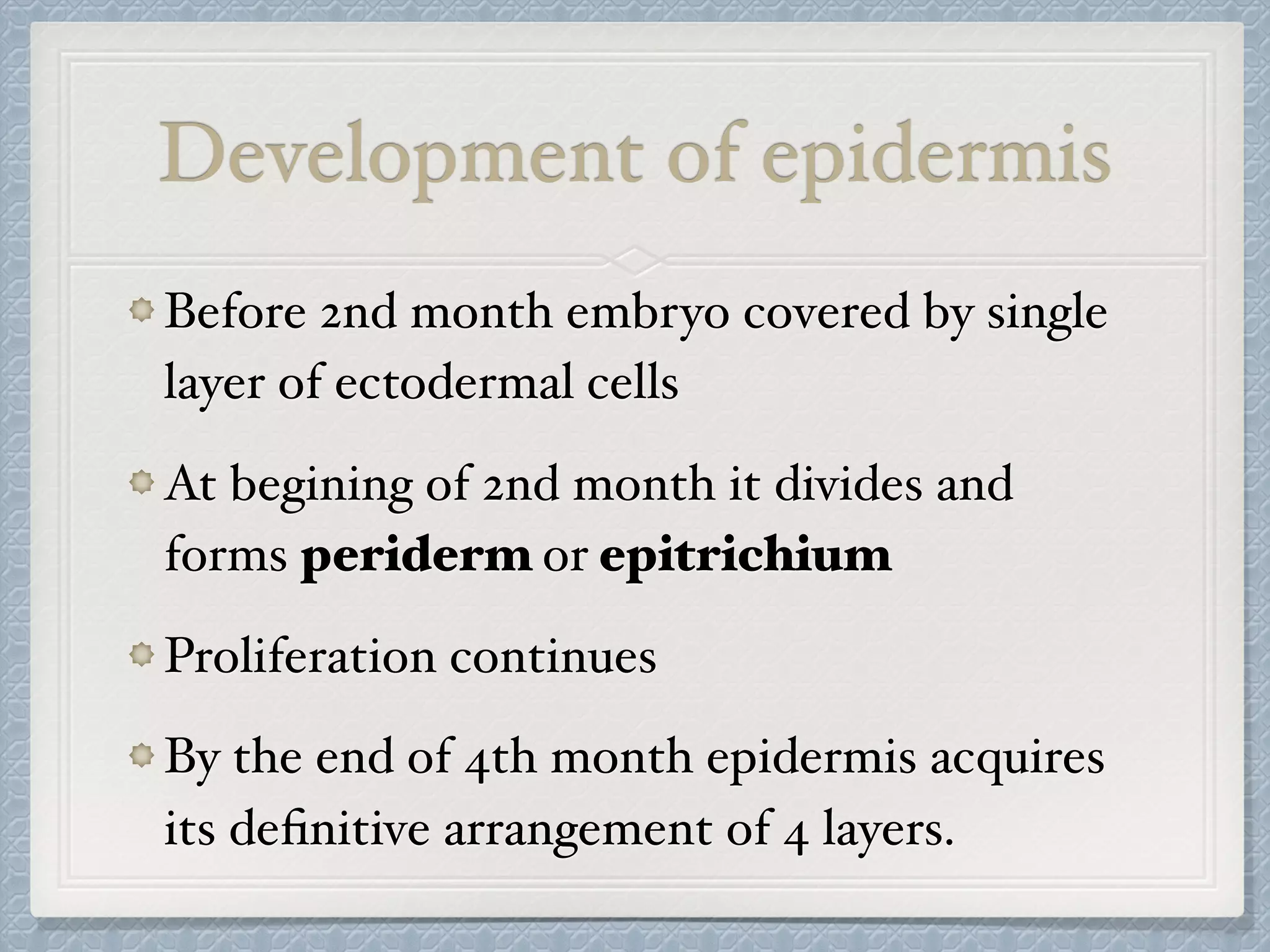 Development of integumentary system | PDF