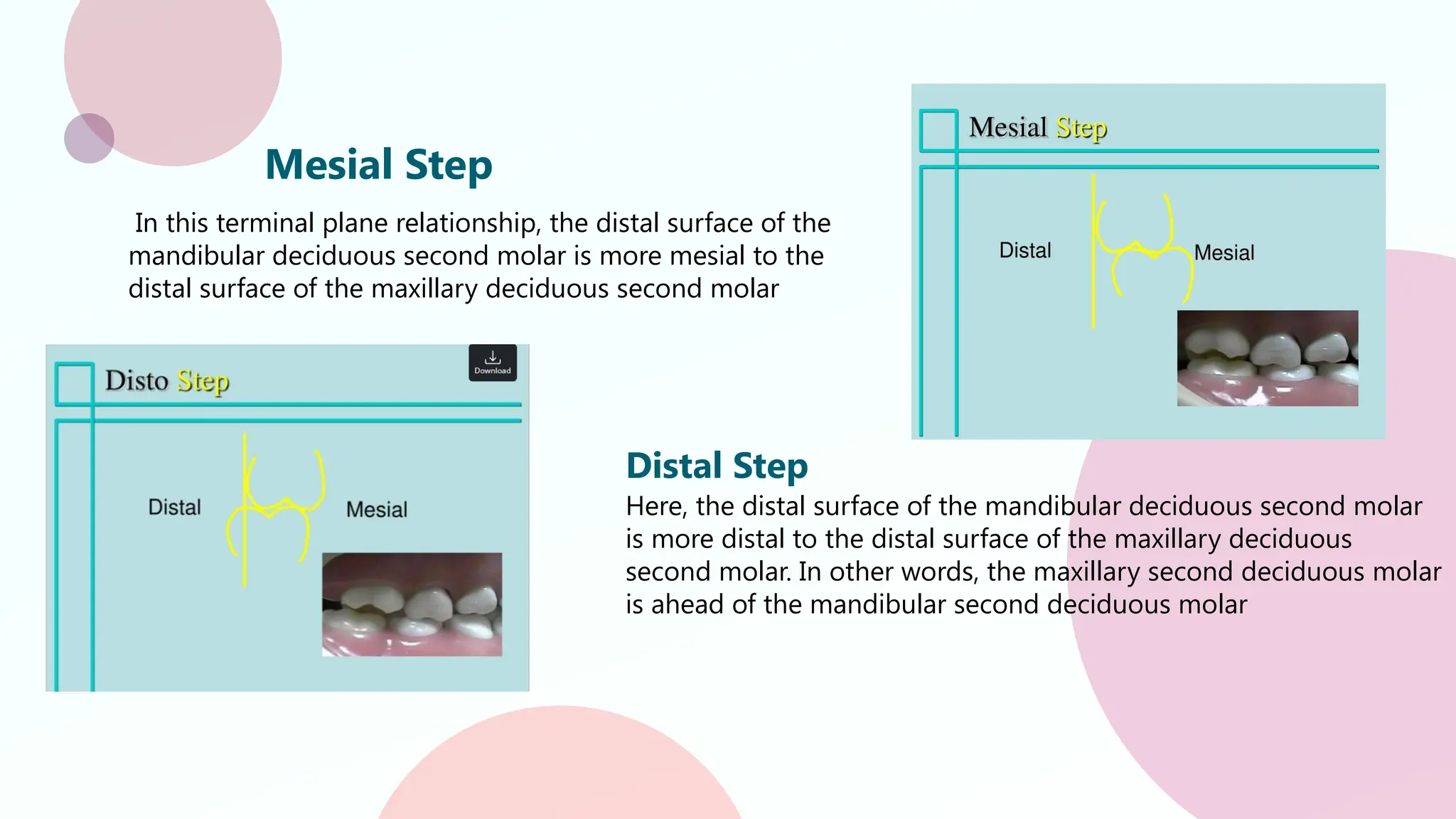 DEVOLOPMENT OF OCCLUSION,ORTHODONTICS AND DENTOFACIAL ORTHOPAEDICS | PPTX