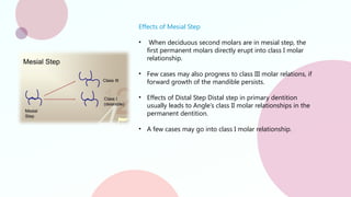 DEVOLOPMENT OF OCCLUSION,ORTHODONTICS AND DENTOFACIAL ORTHOPAEDICS | PPTX