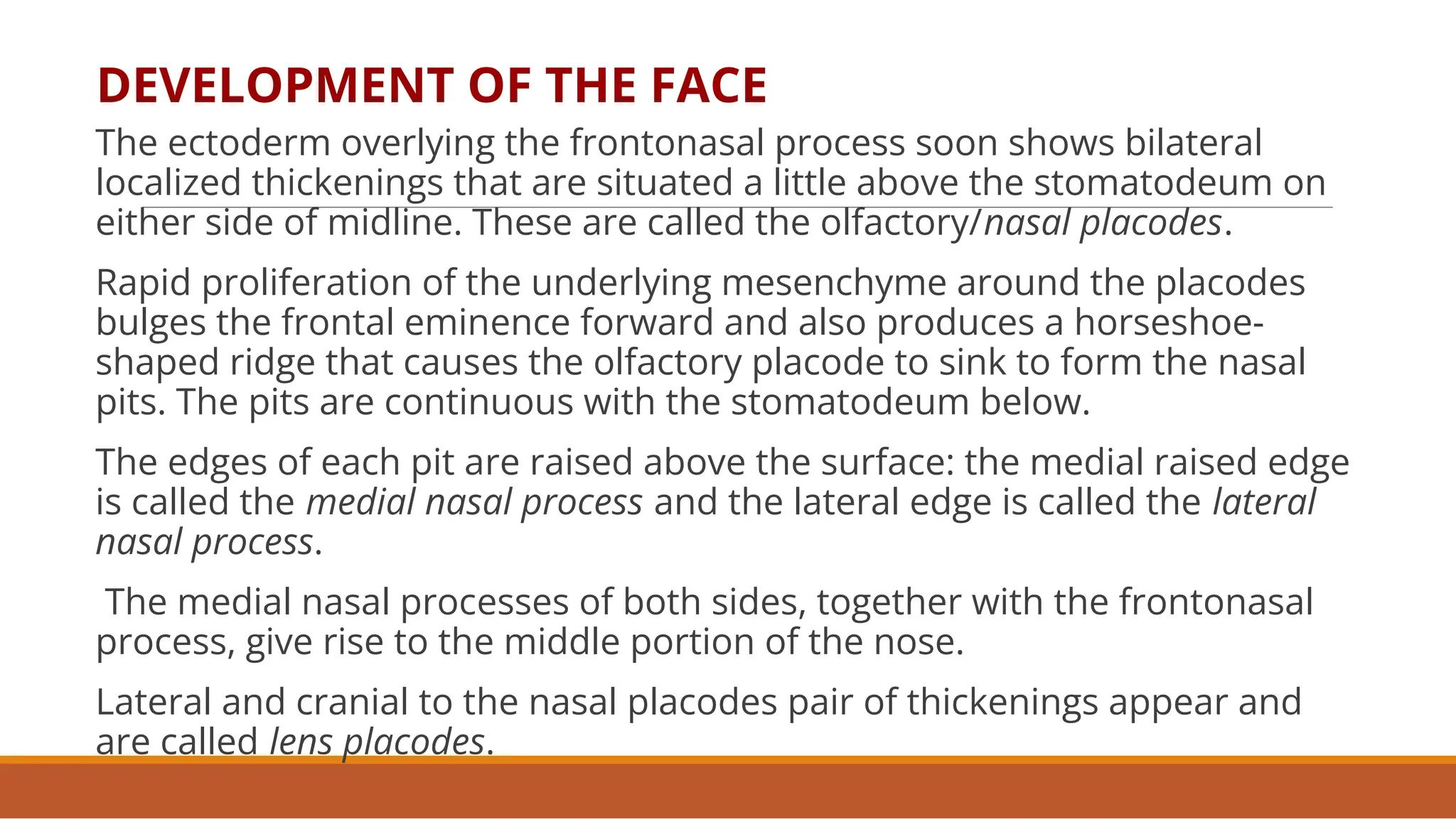 Development of the face and the oral cavity | PDF