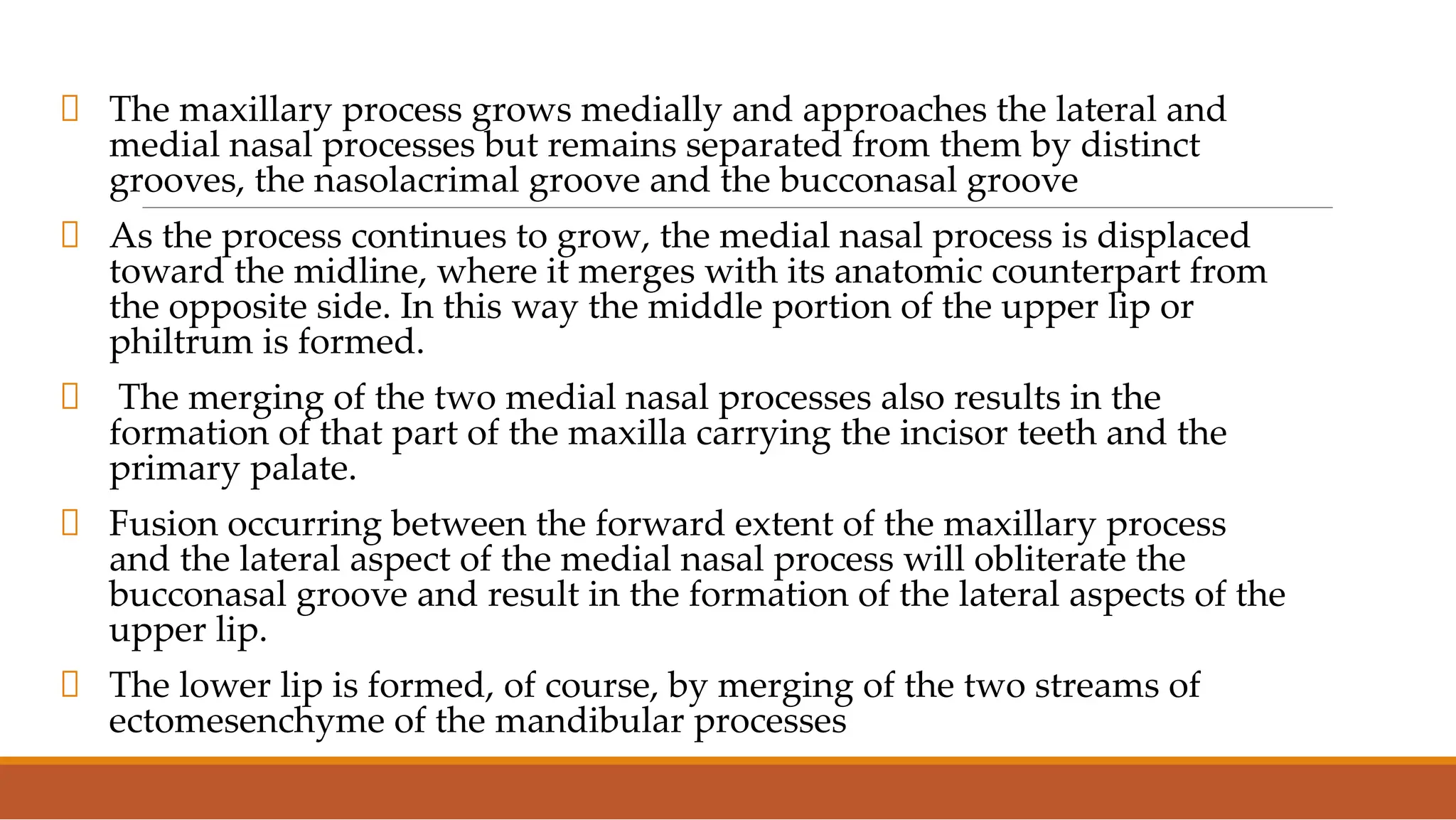 Development of the face and the oral cavity | PDF