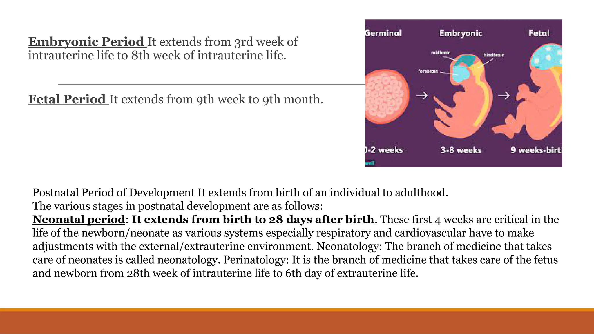 Development of the face and the oral cavity | PDF