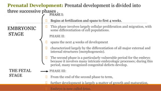 Development of the face and the oral cavity | PDF