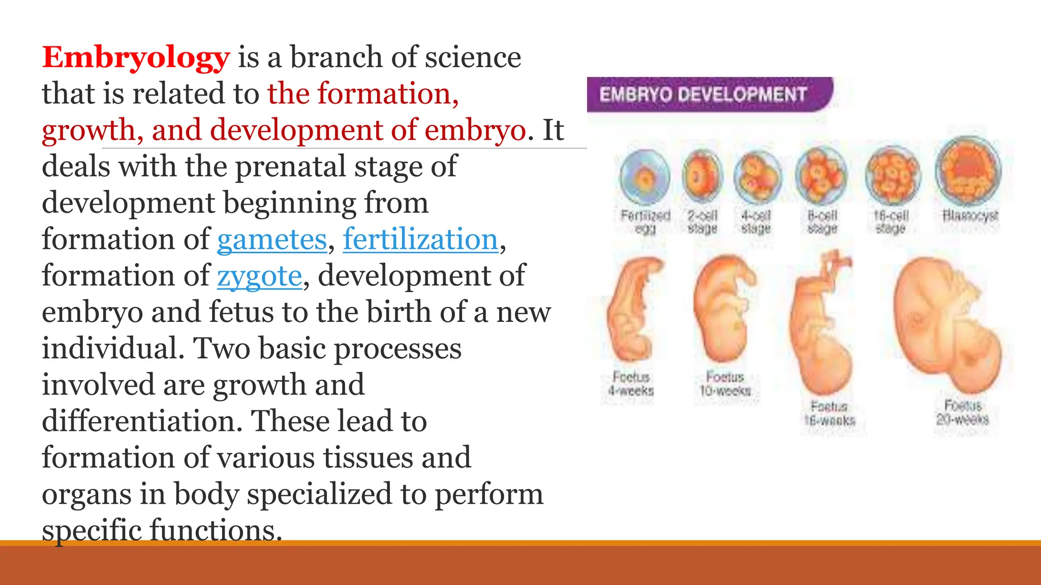 dev of oral and paraoral.pptx dental anatomy and dental histology | PPTX