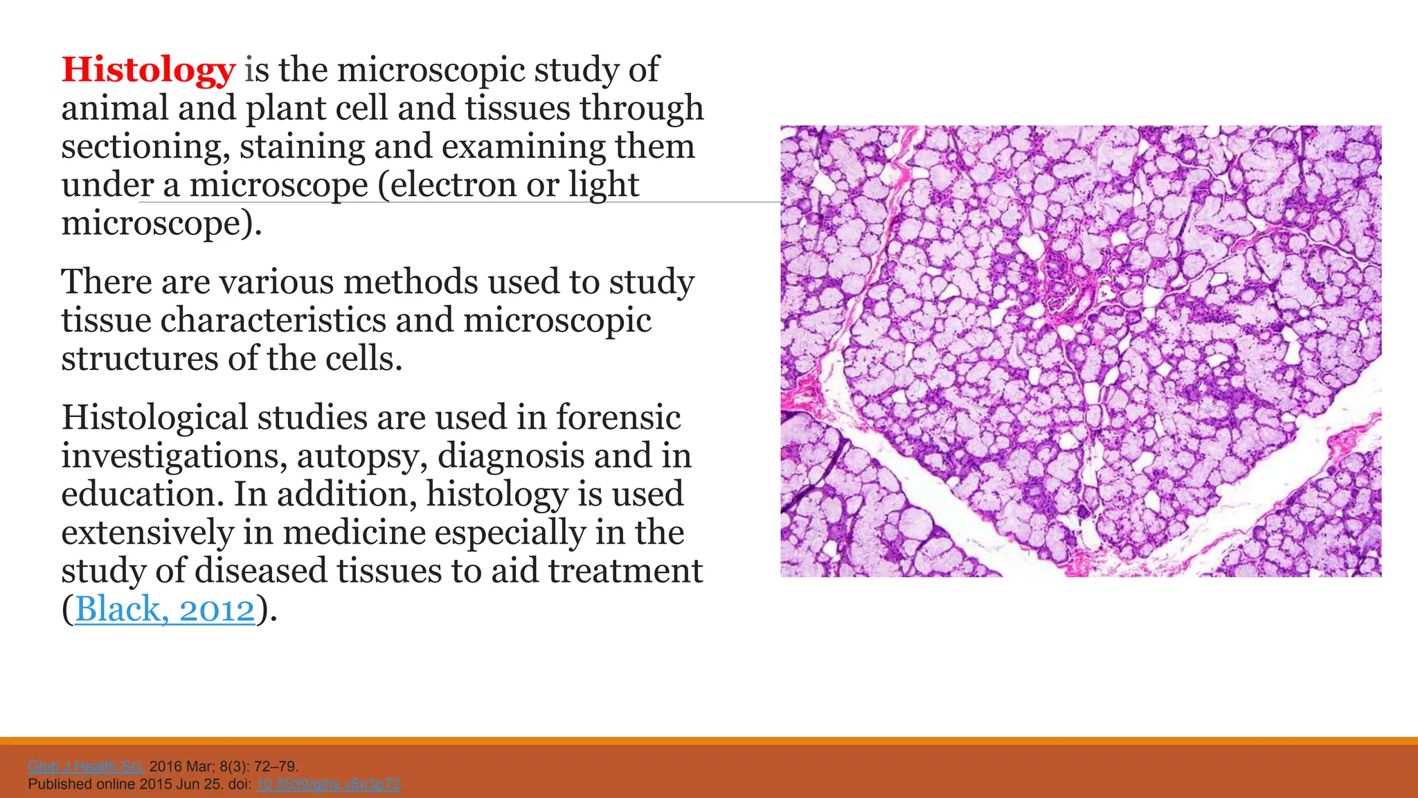 dev of oral and paraoral.pptx dental anatomy and dental histology | PPTX