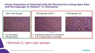 Development of Production and Purification Platformform for Influenza ...