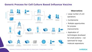 Development of Production and Purification Platformform for Influenza ...