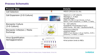 Development of Production and Purification Platformform for Influenza ...