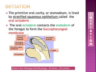 Development of tooth | PPTX