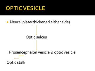 Devolepment of eye | PPT