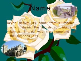 Devon | PPTX | Birds | Pets