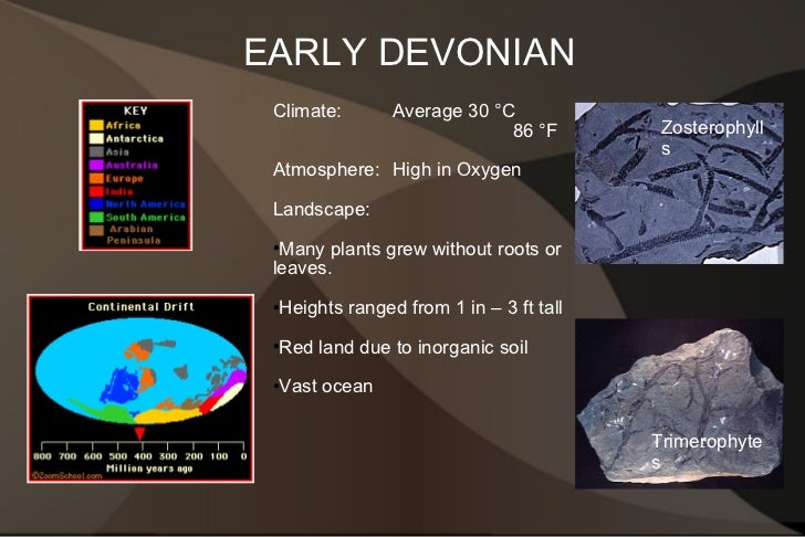 Devonian period