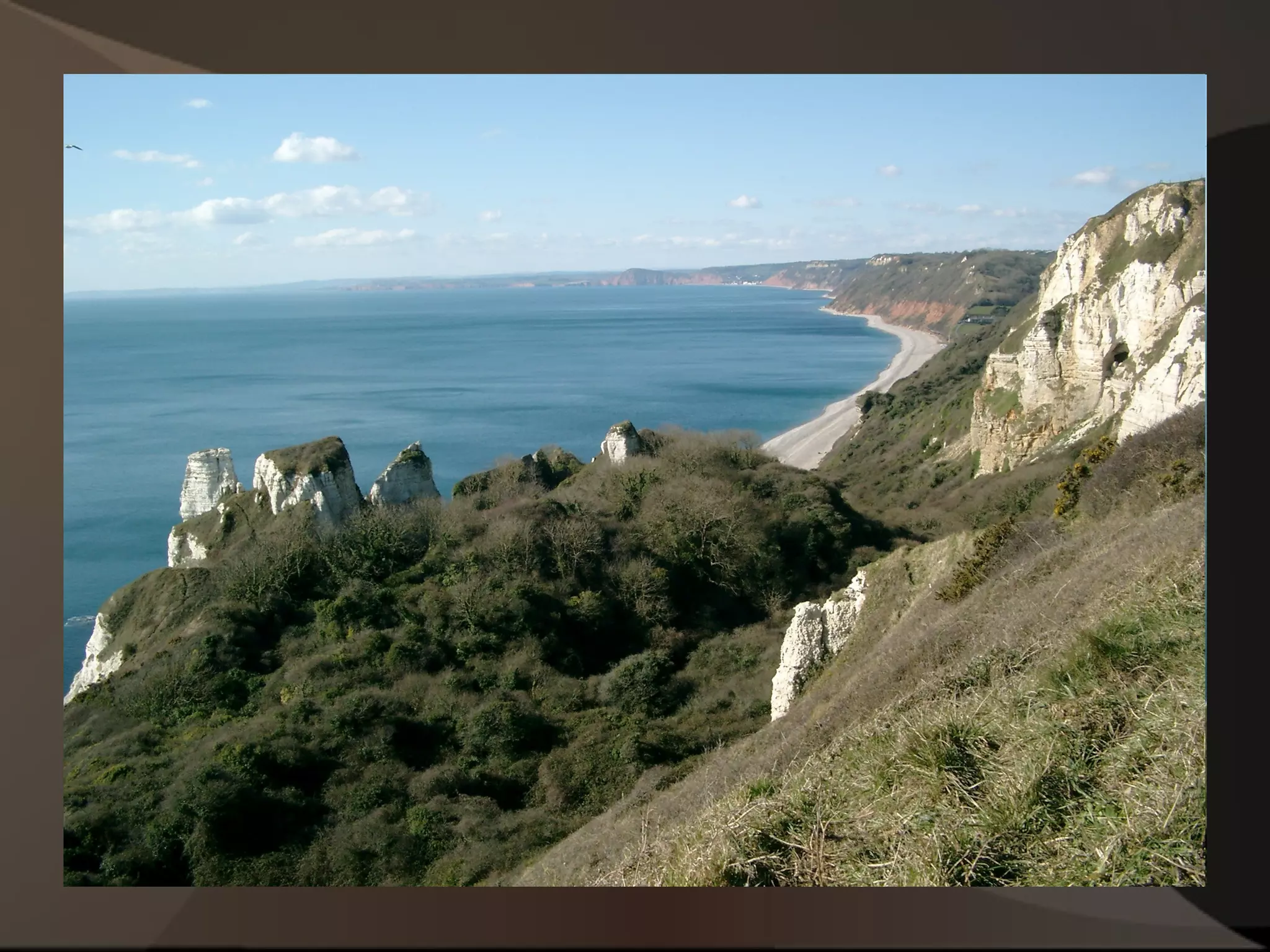 Devonian period(3) | PPT