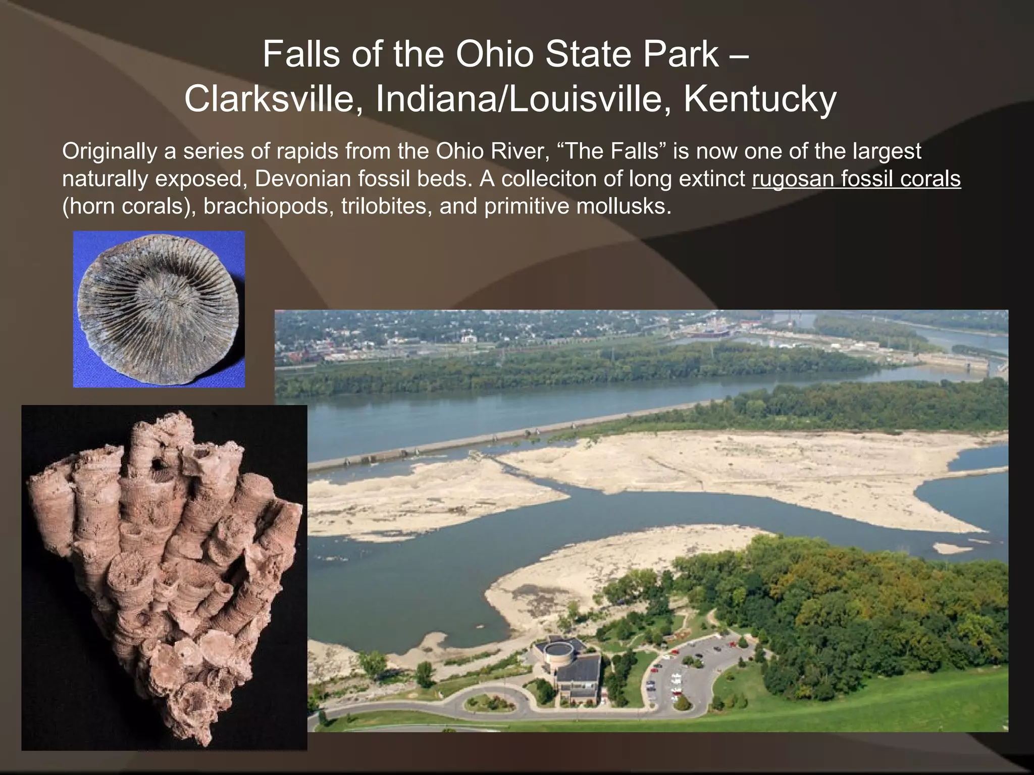 Devonian period(3) | PPT