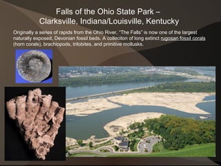 Devonian period(3) | PPT