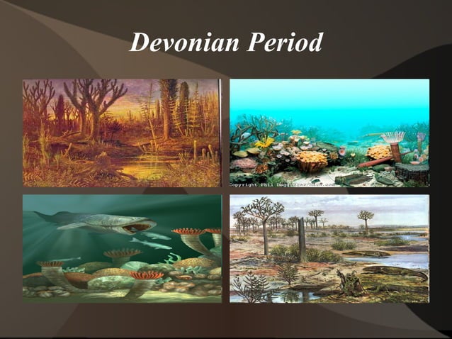 Devonian period(3) | PPT