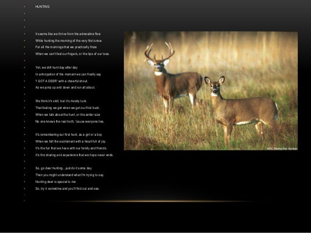 Deer Hunting Poems Short