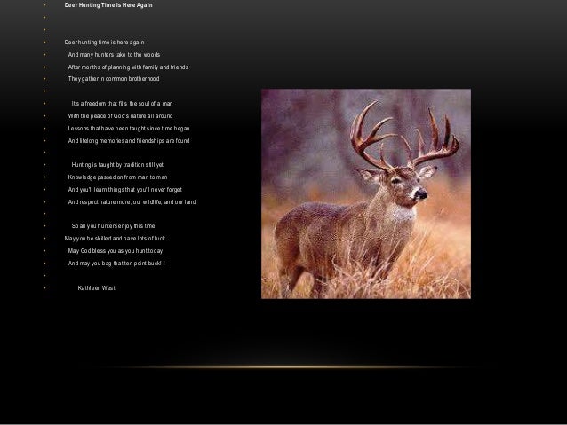 Deer Hunting Poems Short
