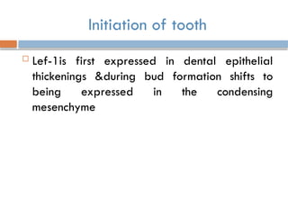 Development of tooth-Part II.pptx( Epithelial Mesenchymal Interaction ...