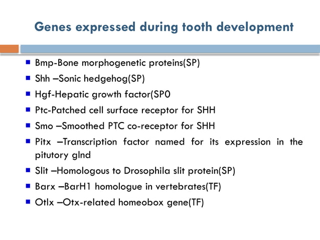 Development of tooth-Part II.pptx( Epithelial Mesenchymal Interaction) | PPTX